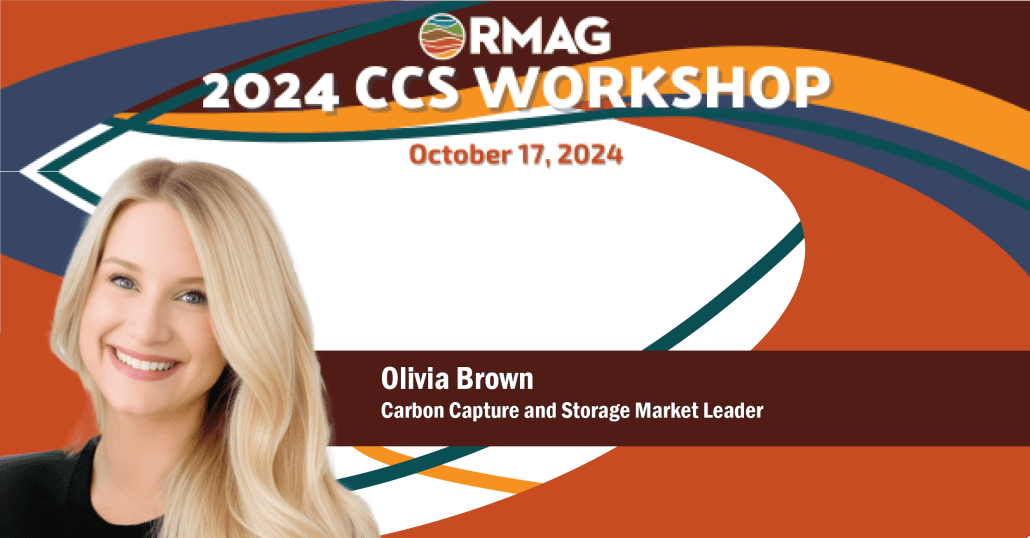 Carbon Capture and Storage Workshop - Daniel B Stephens